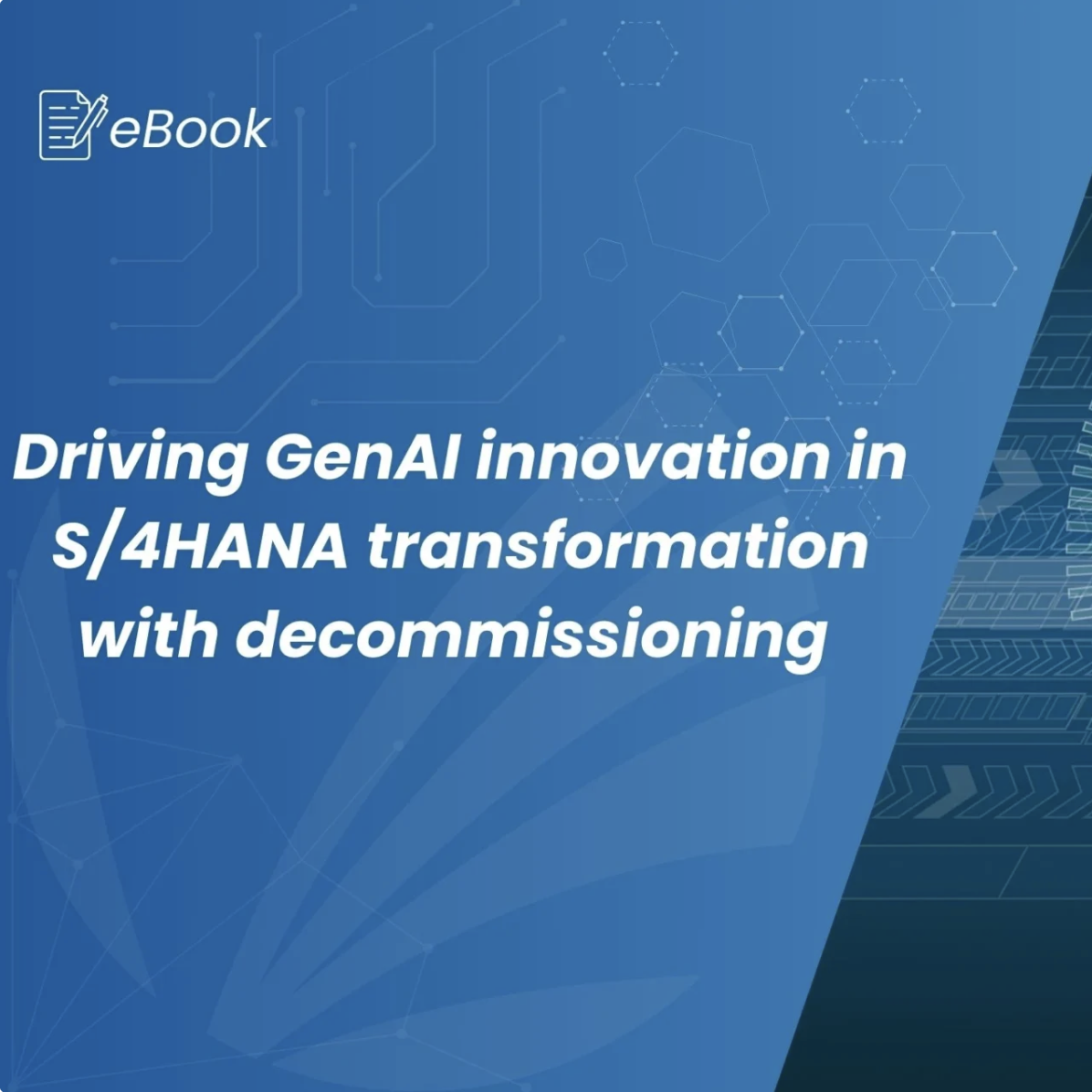 2025 Webinar Series ELSA - 4th: Hosting and SAP RISE
